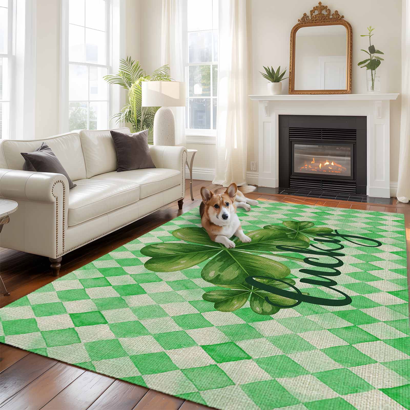 5'x8' Area Rugs, St Patrick's Day Indoor Outdoor Area Rug for Living ...