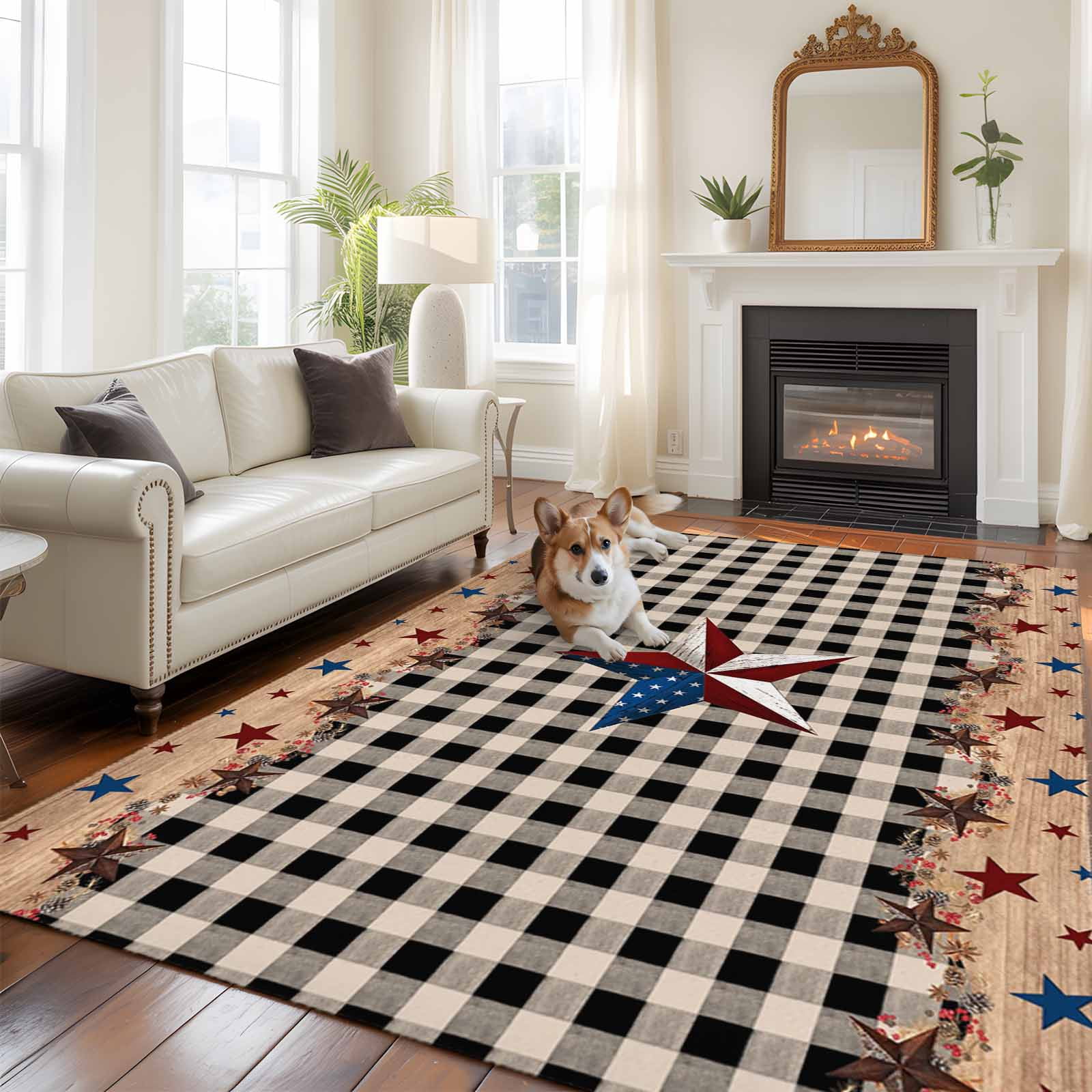 5'x8' Area Rugs, Texas Star Vintage Indoor Outdoor Area Rug for Living ...