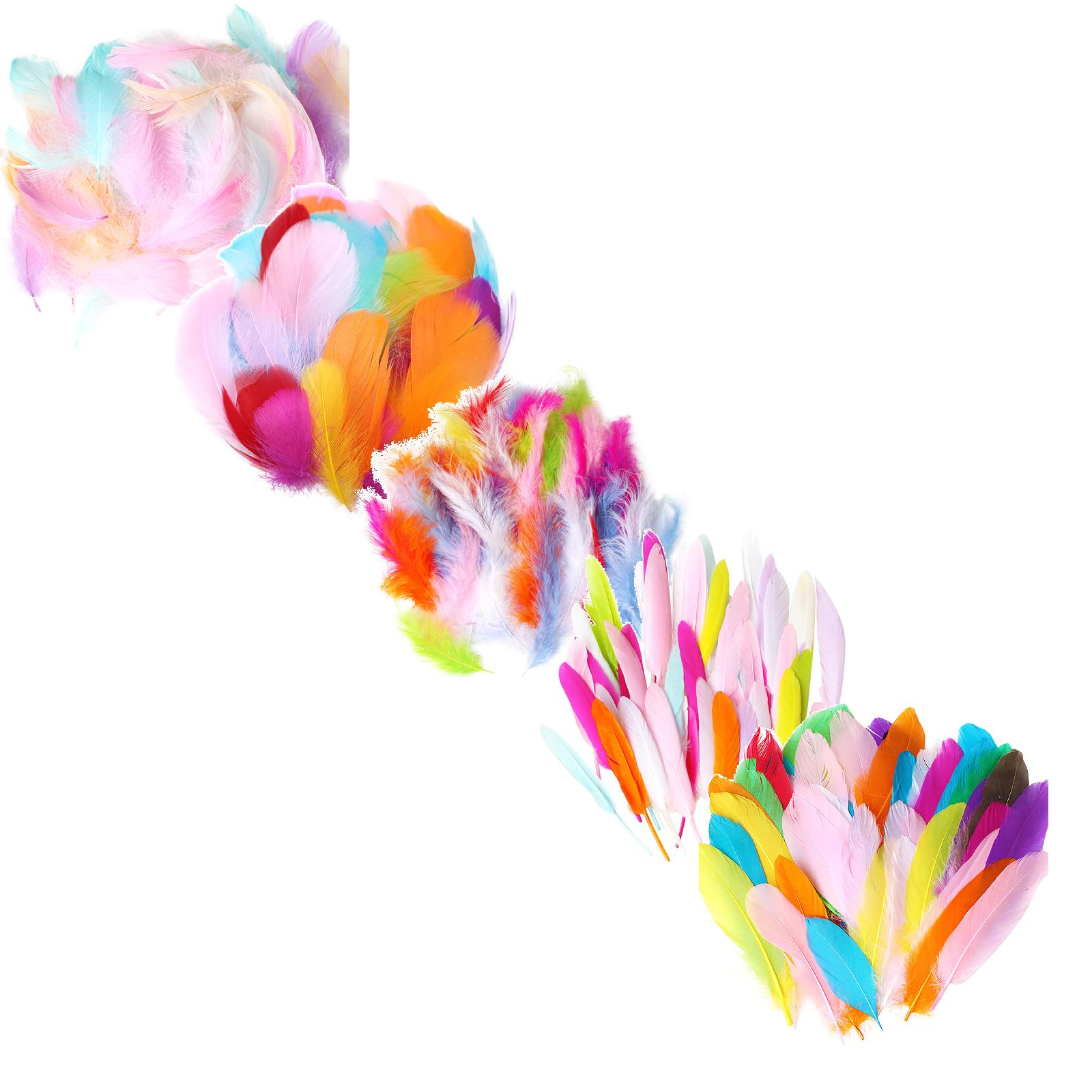 50/100/250PCS Natural Colorful Craft Rooster Feathers Bulk Feathers for ...