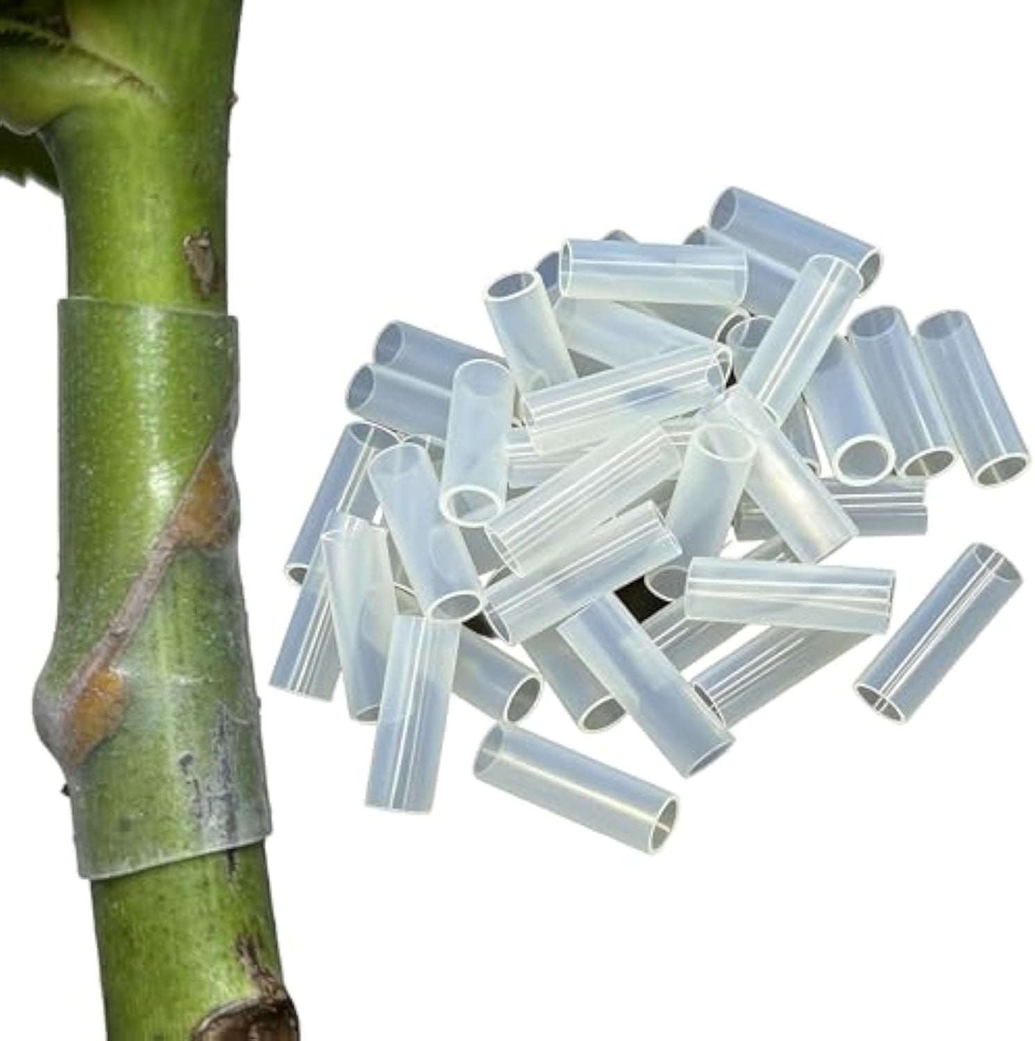 50/100pcs Silicone Grafting Sleeves for Fruit Trees, High-Elastic Thin ...