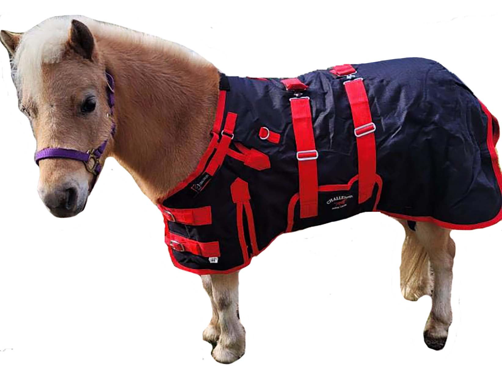 Challenger 1200D Miniature Weanling Donkey Pony Horse Foal Winter ...