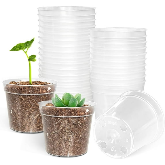 50 2.5 Inch Clear Pots for , Sturdy Pot for Planting Vegetables ...