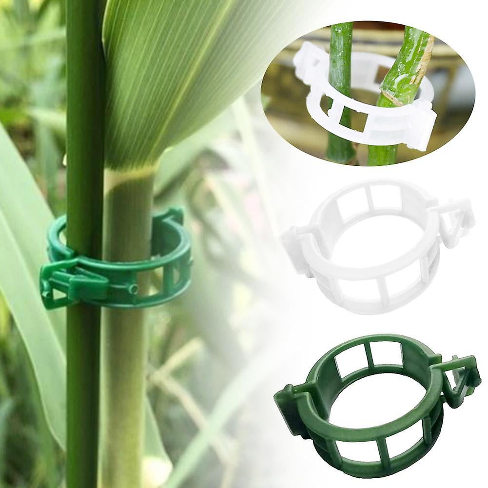 50-300 PCS Plant Fixing Clips Tomato Clips Plant Clips for Climbing ...