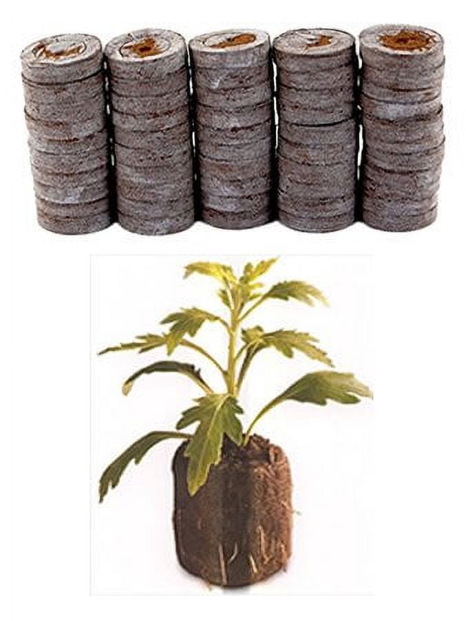 50 Count - Jiffy 7 Peat MVR1 Pellets - Seed Starter Soil Plugs - 36 mm ...