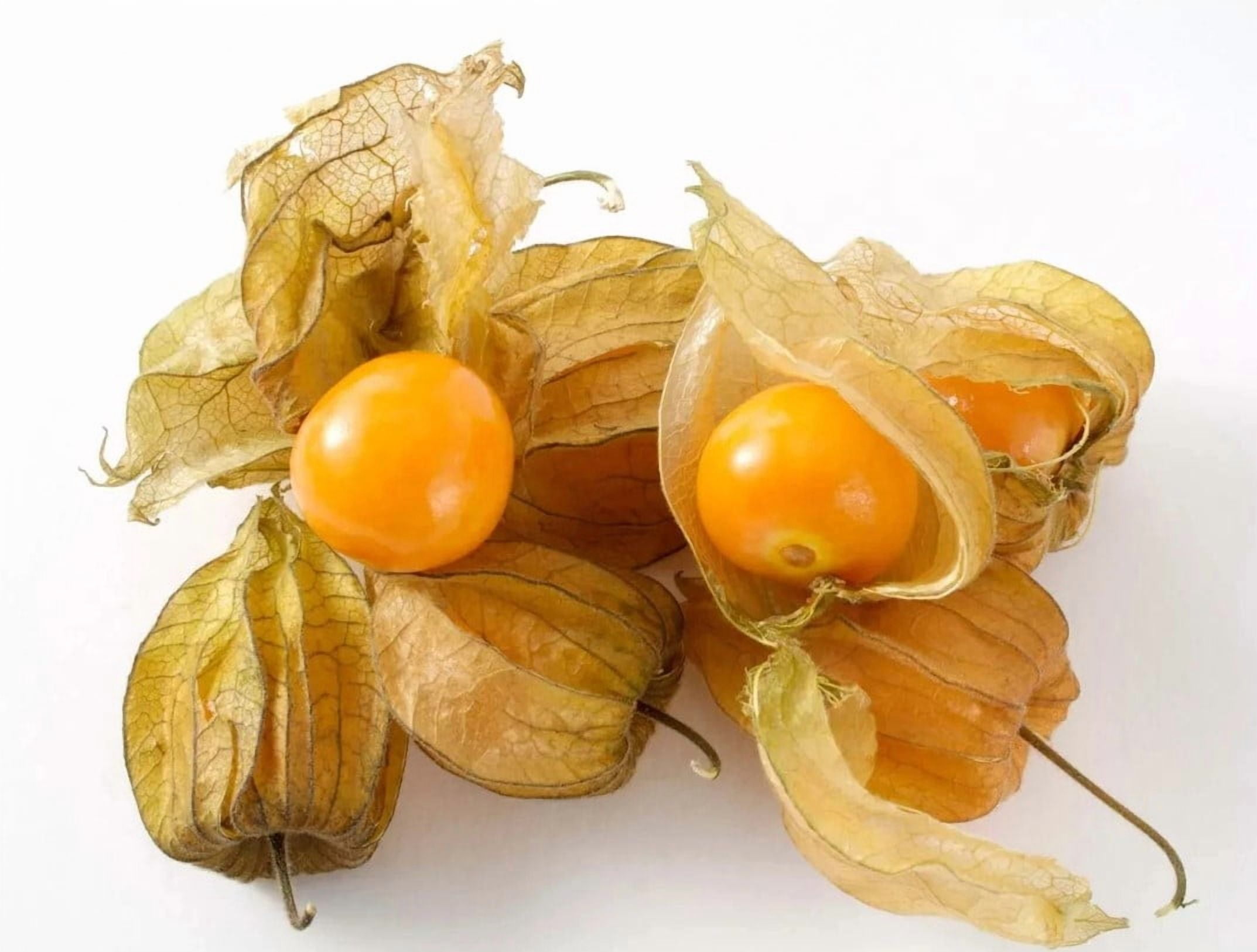 50 Ground Cherry Seeds for Planting - Cape Gooseberry - Chinese Lantern Plant - Physalis - NON ...