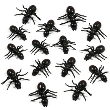 Mini Plastic Toy Ants 1 1/2" Pack of Approx 72 Pcs for Kids - Realistic ...