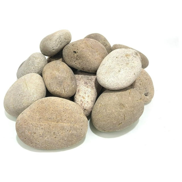 50 Lb. Premium Large Buff Mexican Beach Pebbles 3-5 inches, Decor ...