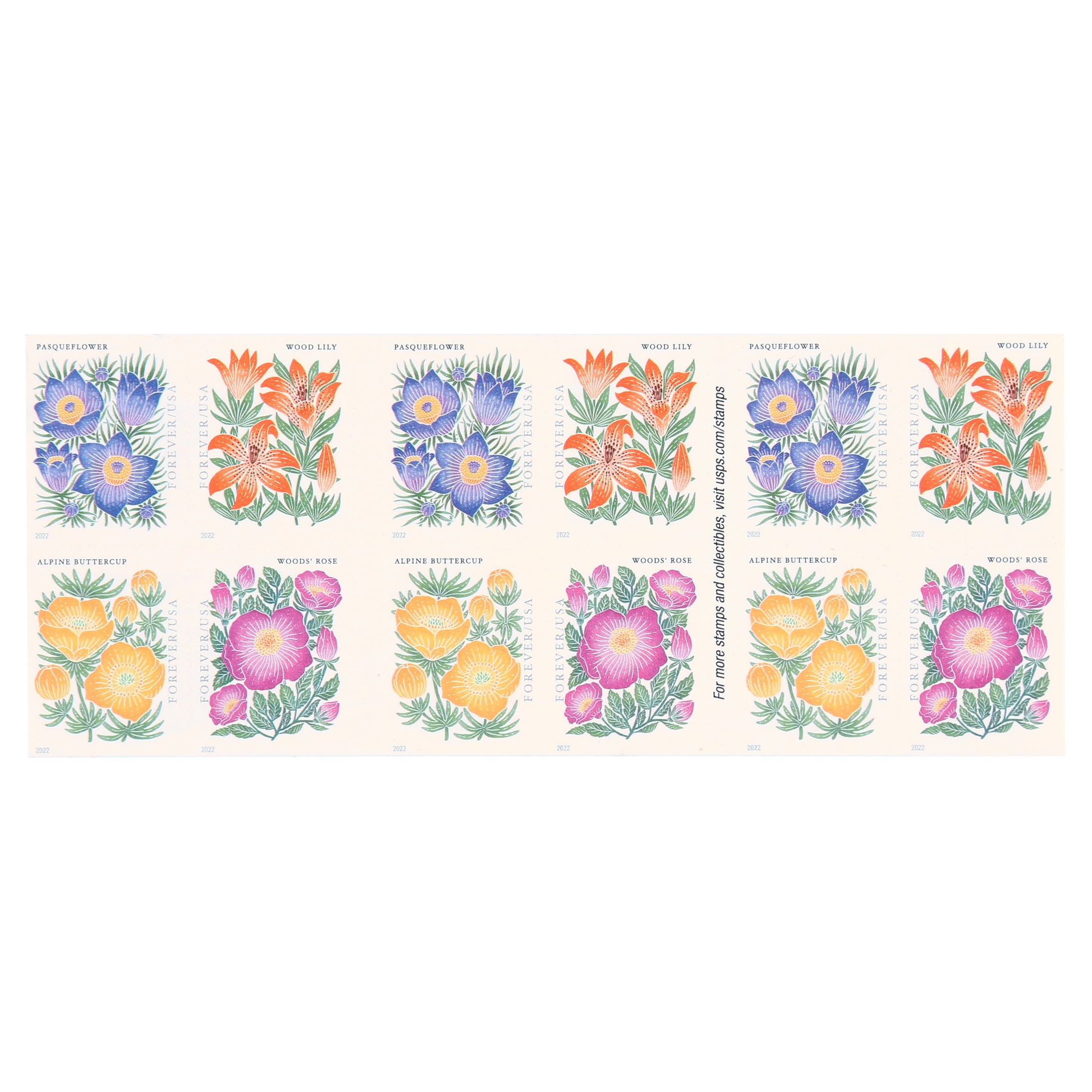 50 Mountain Flora Forever USPS Postage Stamp US First Class Wedding ...