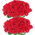 50 PCS Artificial Roses Bulk, White Velvet Silk Fake Roses, Realistic ...