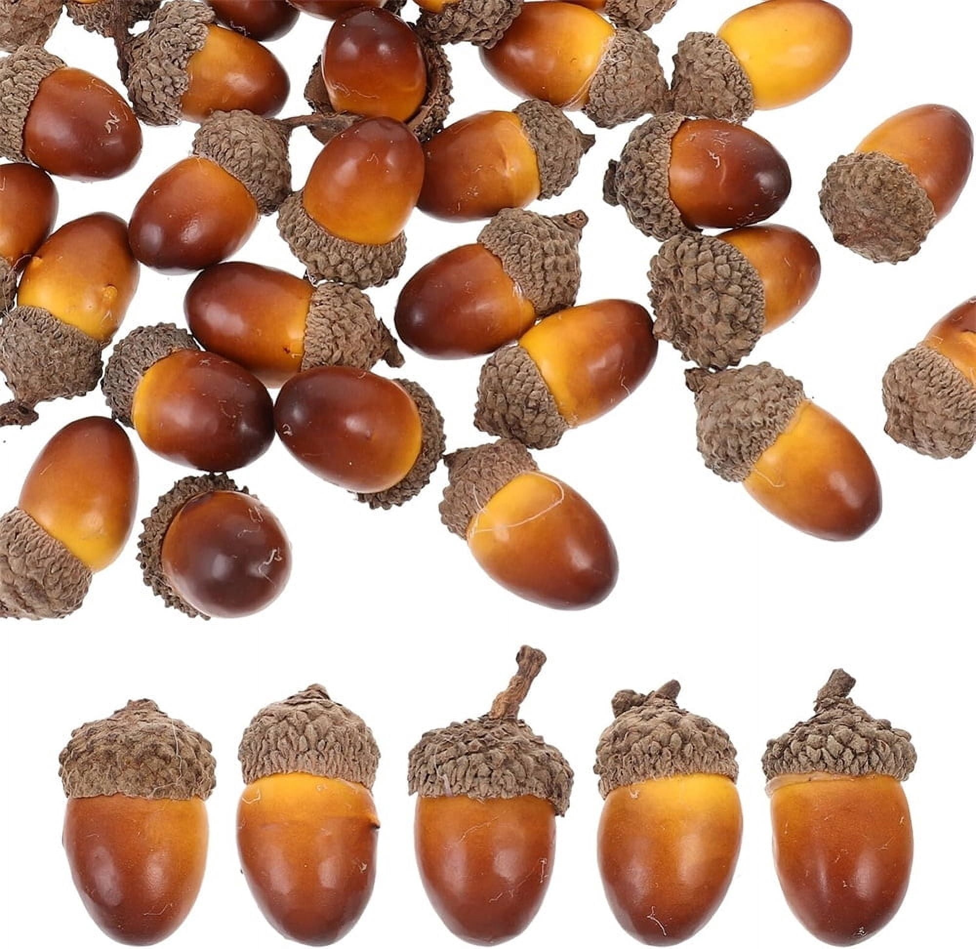 QZS 50 PCS Large Artificial Acorns,Lifelike Foam Acorn,Simulation ...