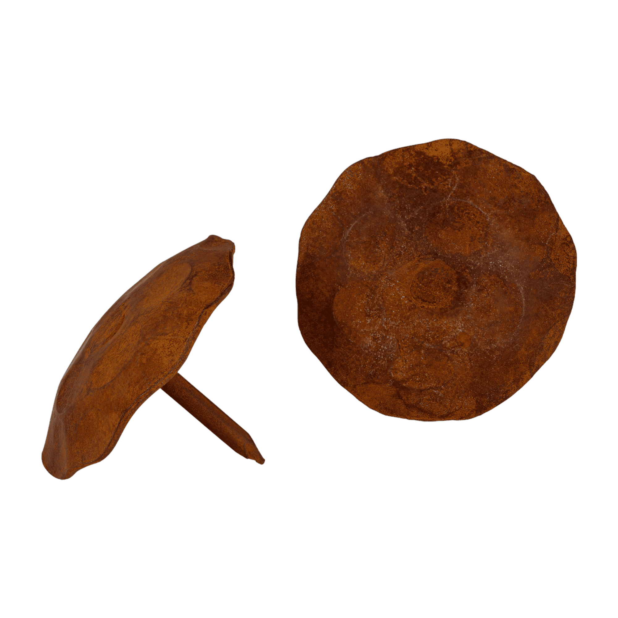 50 Pack 1.5 Inch Rusted Finish Decorative Door Nail Clavos By ...