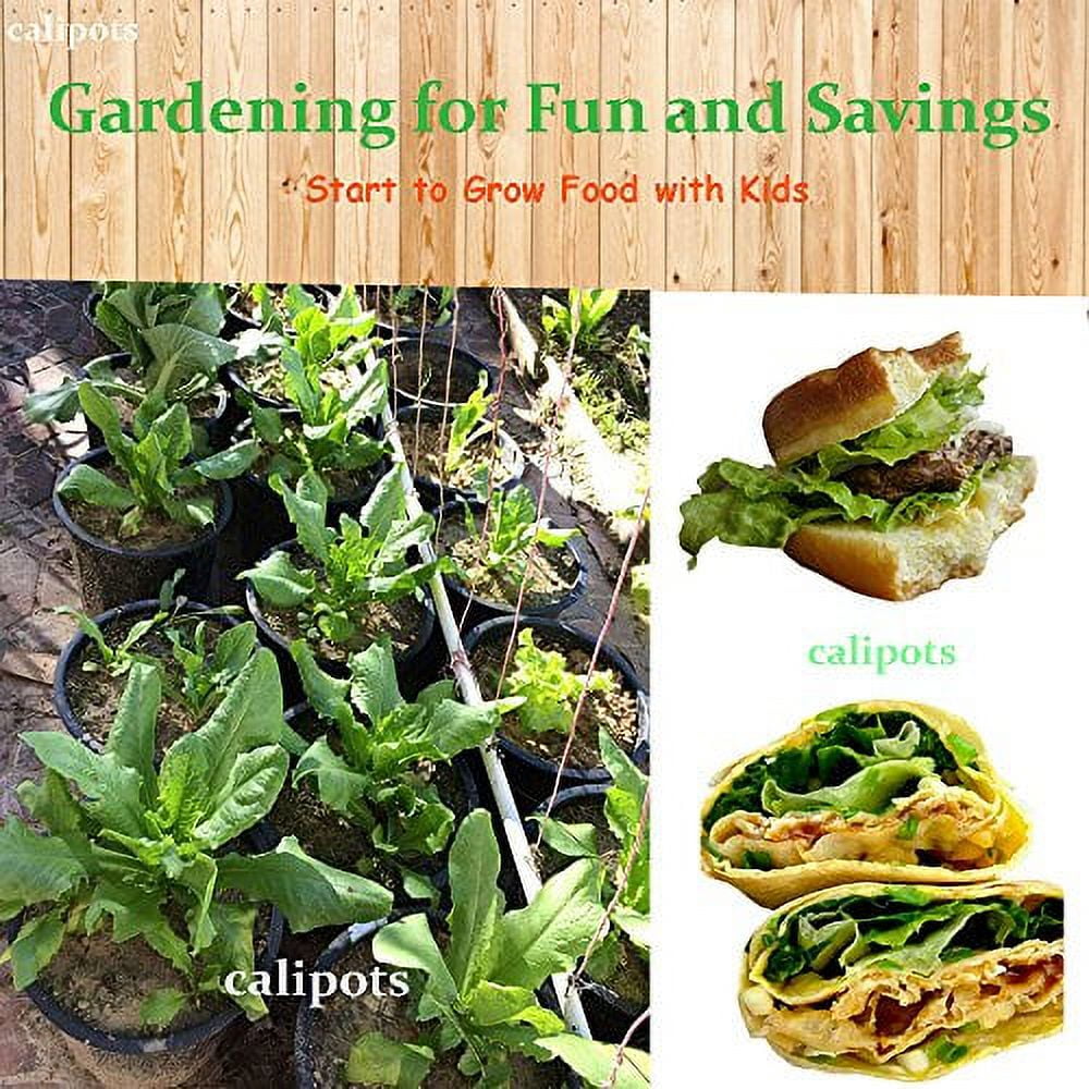 50-Pack 1 Gallon Premium Black Plastic Nursery Plant Container Garden ...