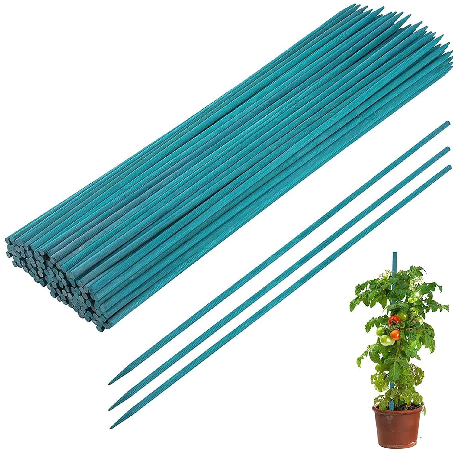 50 Pack 15.7 inch Plant Stakes for Indoor Plants,Bamboo Plant Sticks ...