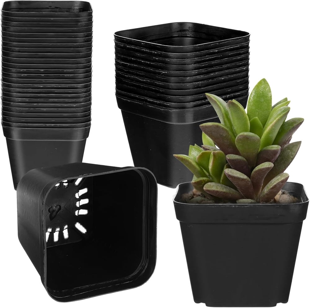 50 Pack 2 Inch Square Small Nursery Pot with Holes,Transplant Planting ...
