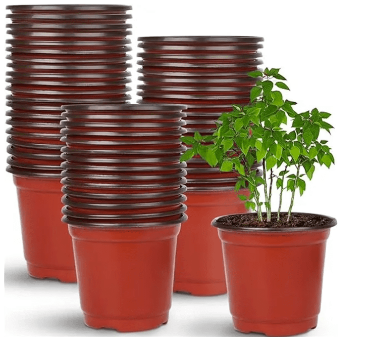50-Pack 4 Inch Plastic Plant Nursery Pots Come, Seedling Flower Plant ...
