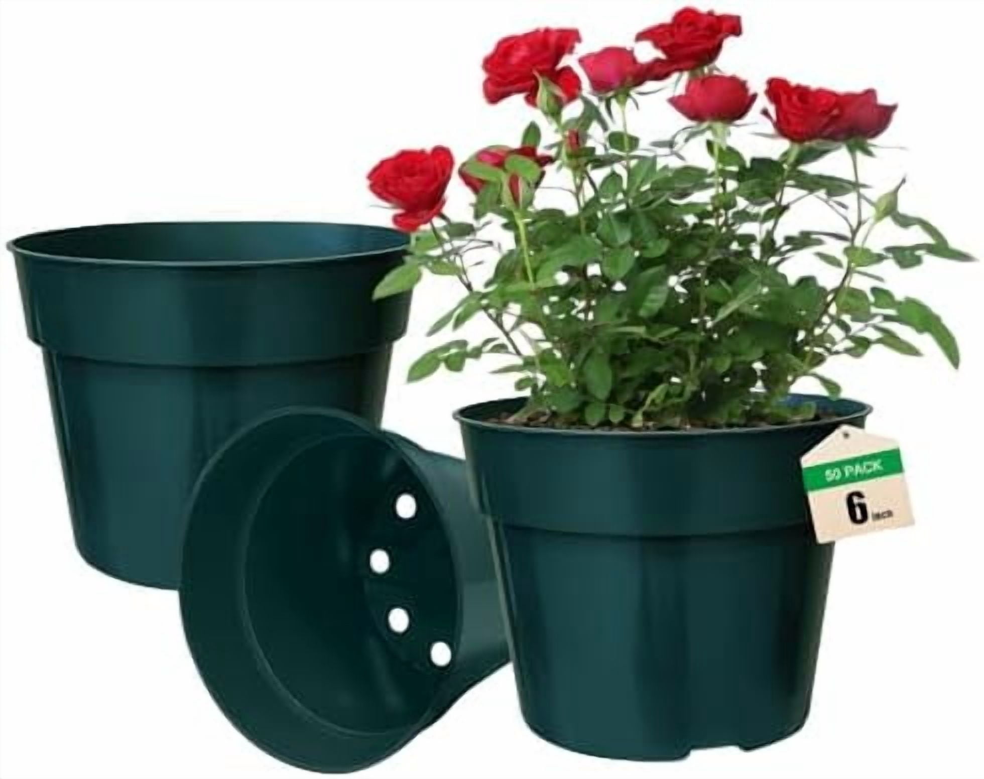 Groe Plastik Blumentpfe
