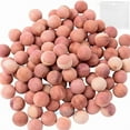 50 Pack Cedar Blocks For Hangers Closet And Drawer Clothes Storage ...