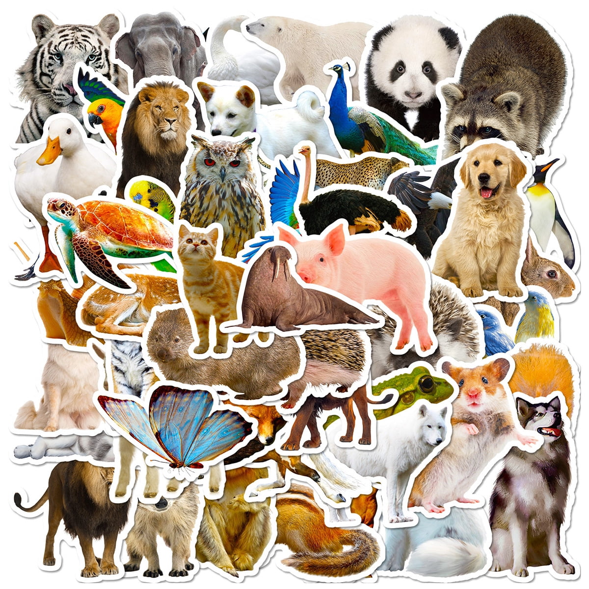 50-Pack Cute Cartoon Animal Stickers - DIY Graffiti Stickers for Kids ...