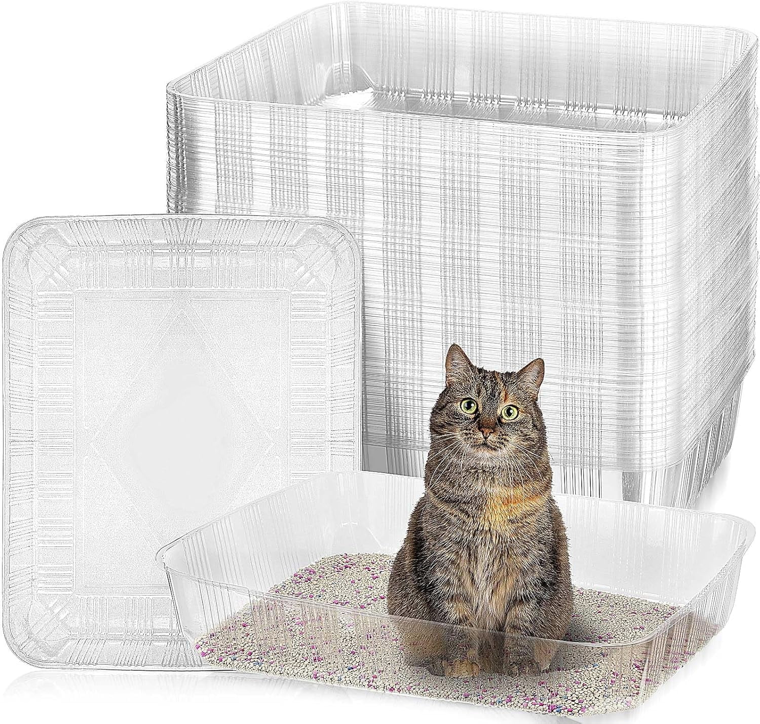 50 Pack Disposable Cat Litter Box for Cats, Large Disposable Kitty ...