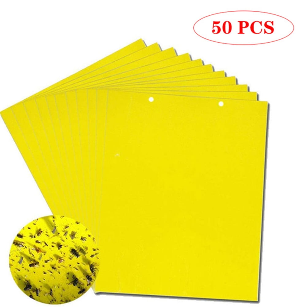 50 Pack Fungus Gnat Sticky Traps Gnat Killer Indoor, Non-Toxic and ...