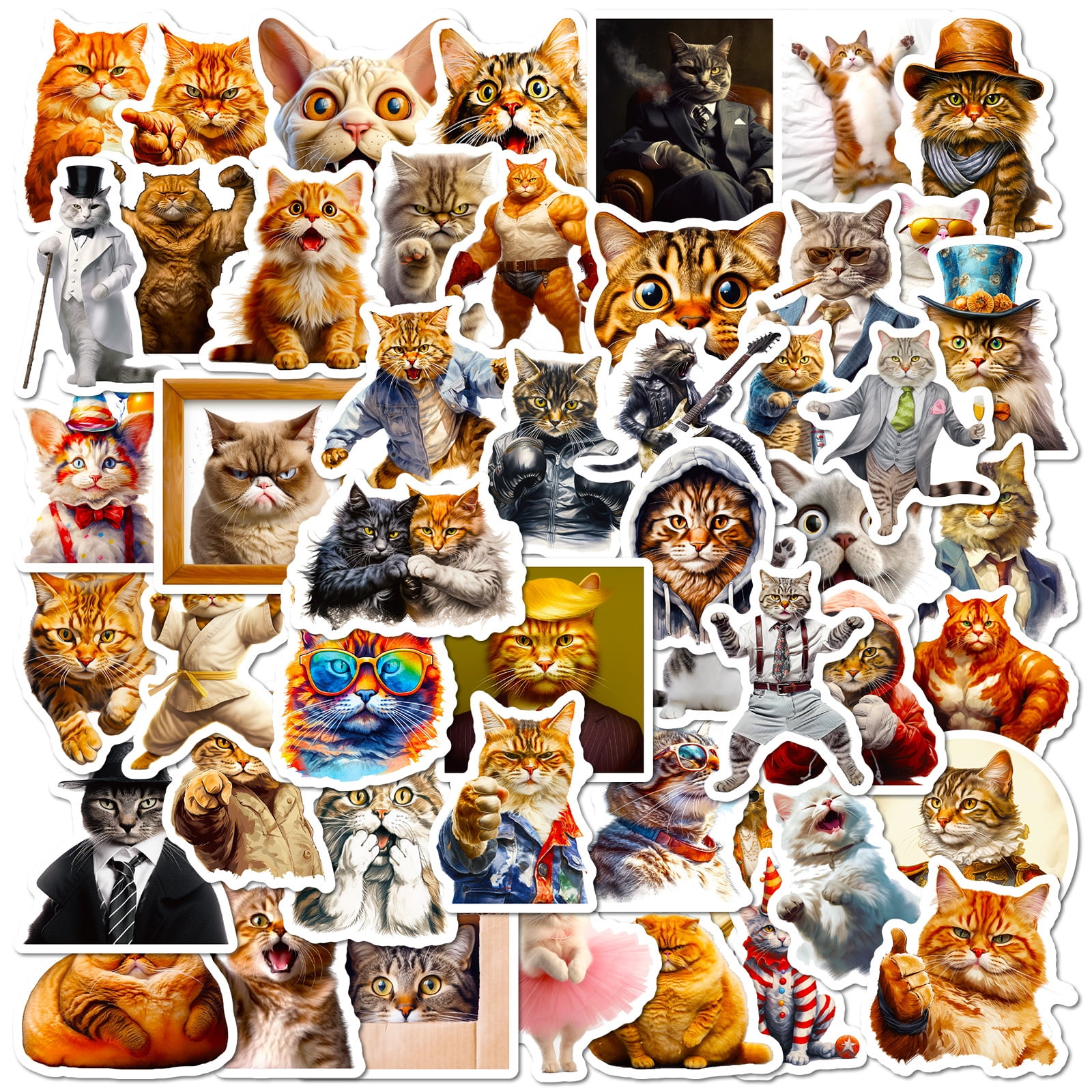 50-Pack Funny Cat Stickers - Hilarious Cat Meme, Expression Pack, Silly ...