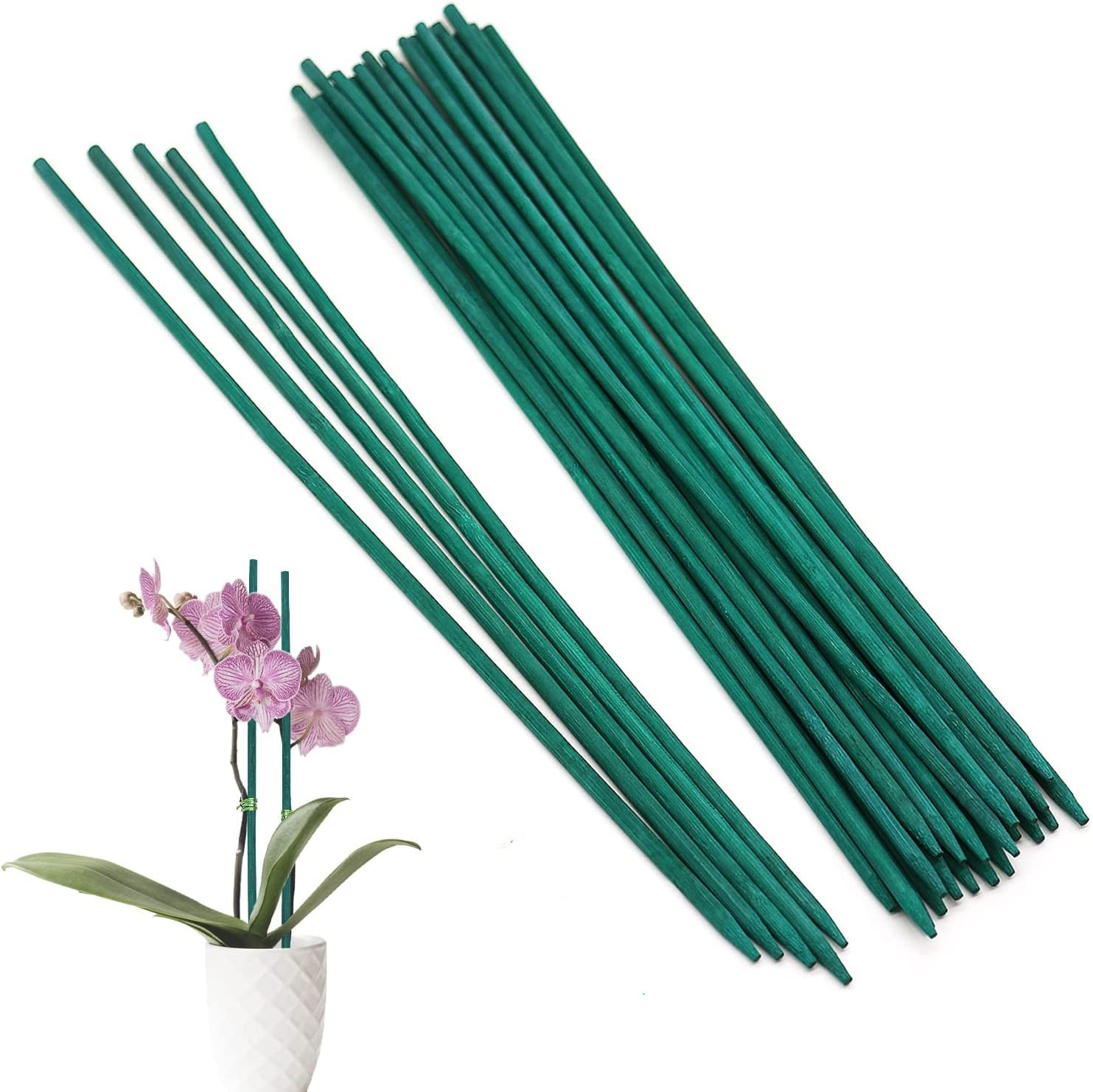 50 Pack Green Plant Stakes Garden Wood Plant Stakes, Happon Sturdy ...