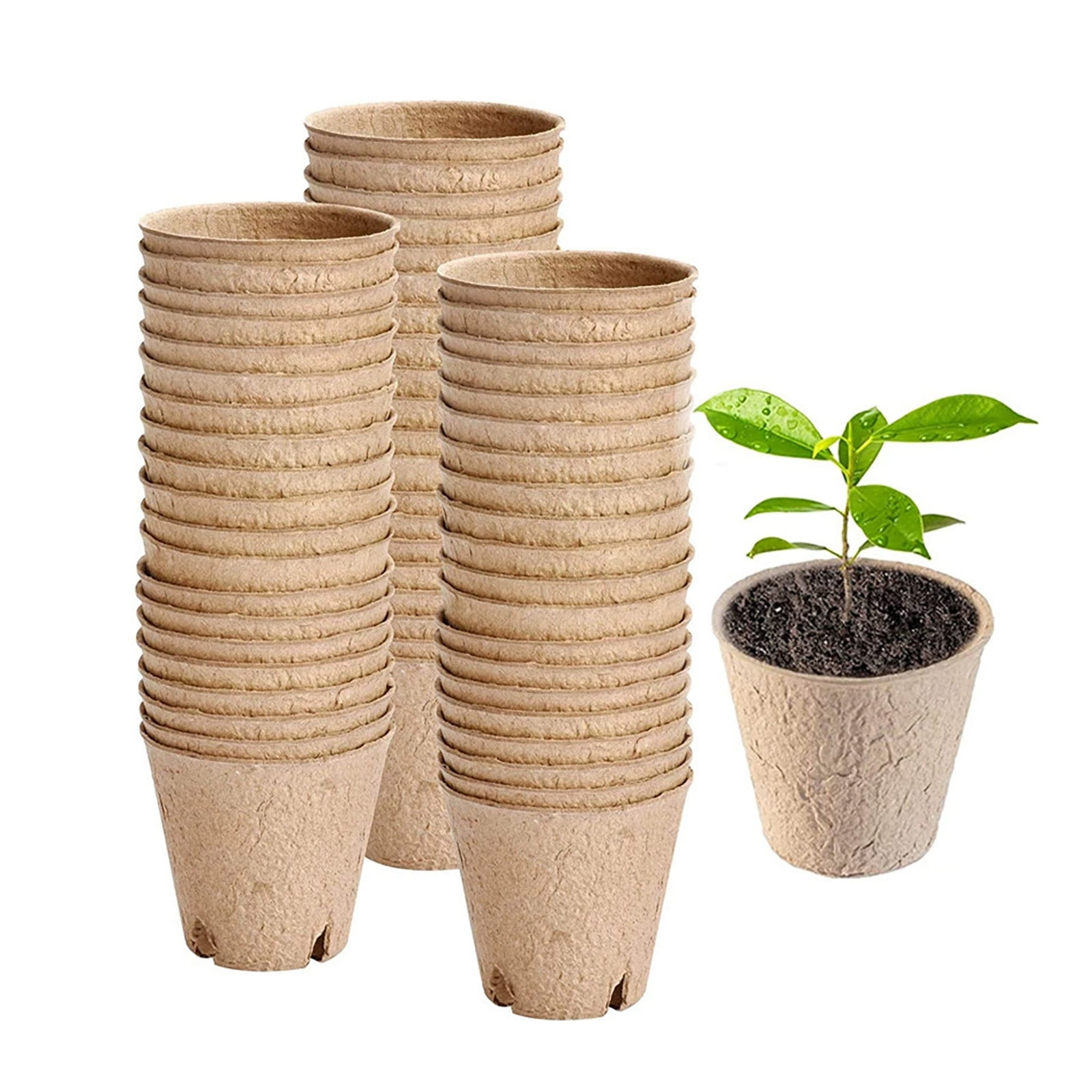 50 Pack Organic Peat Pots for Seedlings, 3.15 Inch Nursery Pots with ...