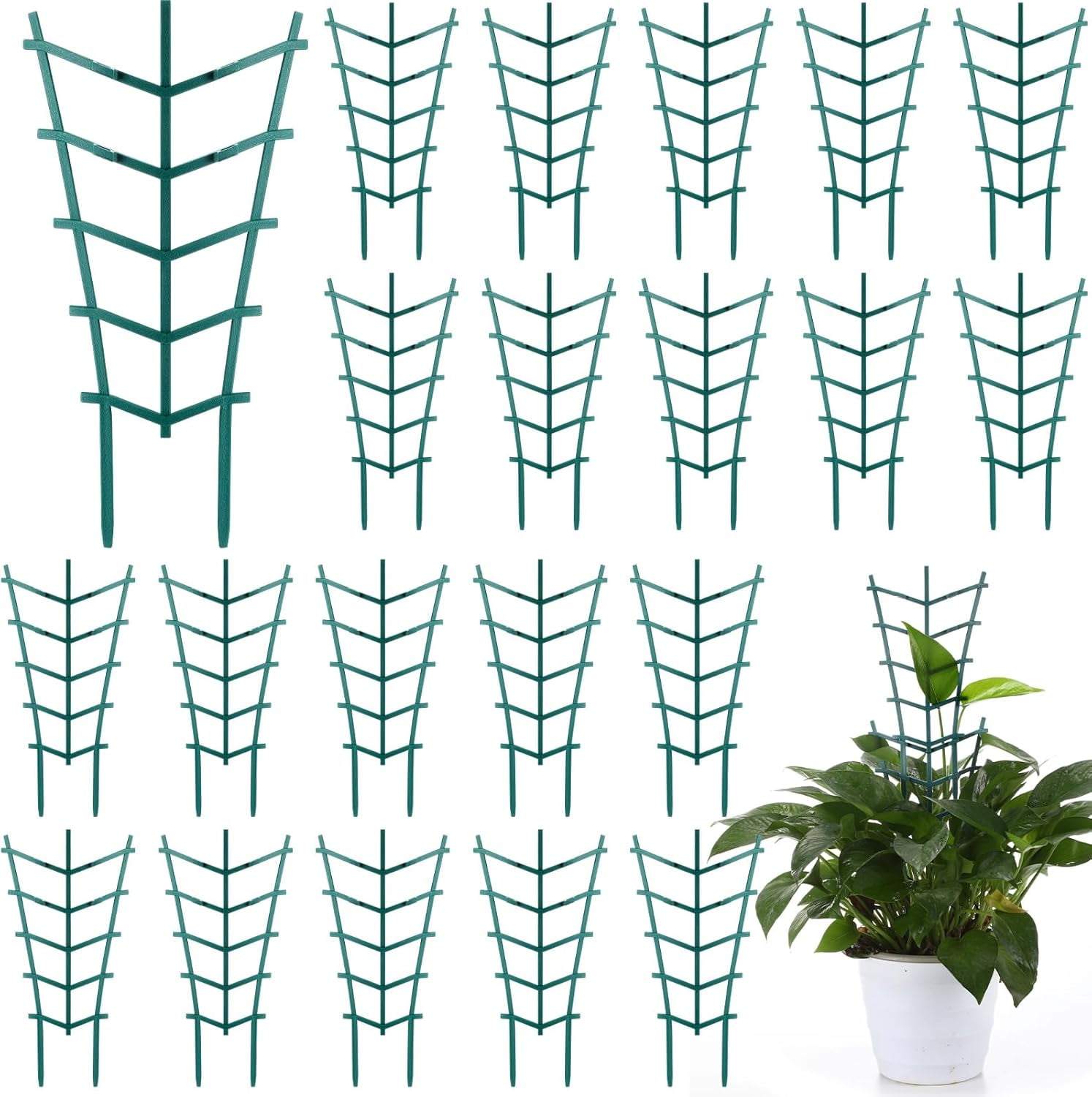 50 Pack Plant Trellis for Pots Garden Trellis for Potted Plants Flower ...