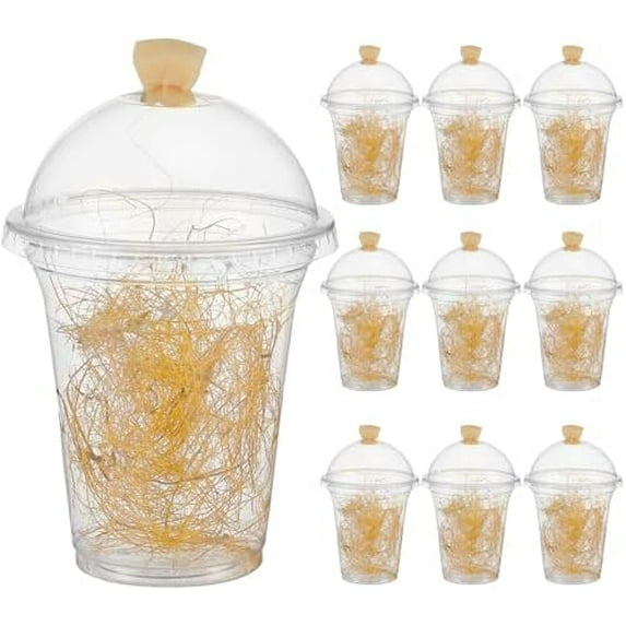 50 Pack Praying Mantis Habitat, Live Chinese Ootheca Praying Mantis Egg ...