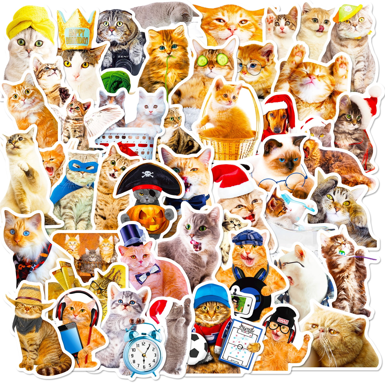 50-Pack Realistic Cat Stickers - New Cute Cat Graffiti Stickers for ...