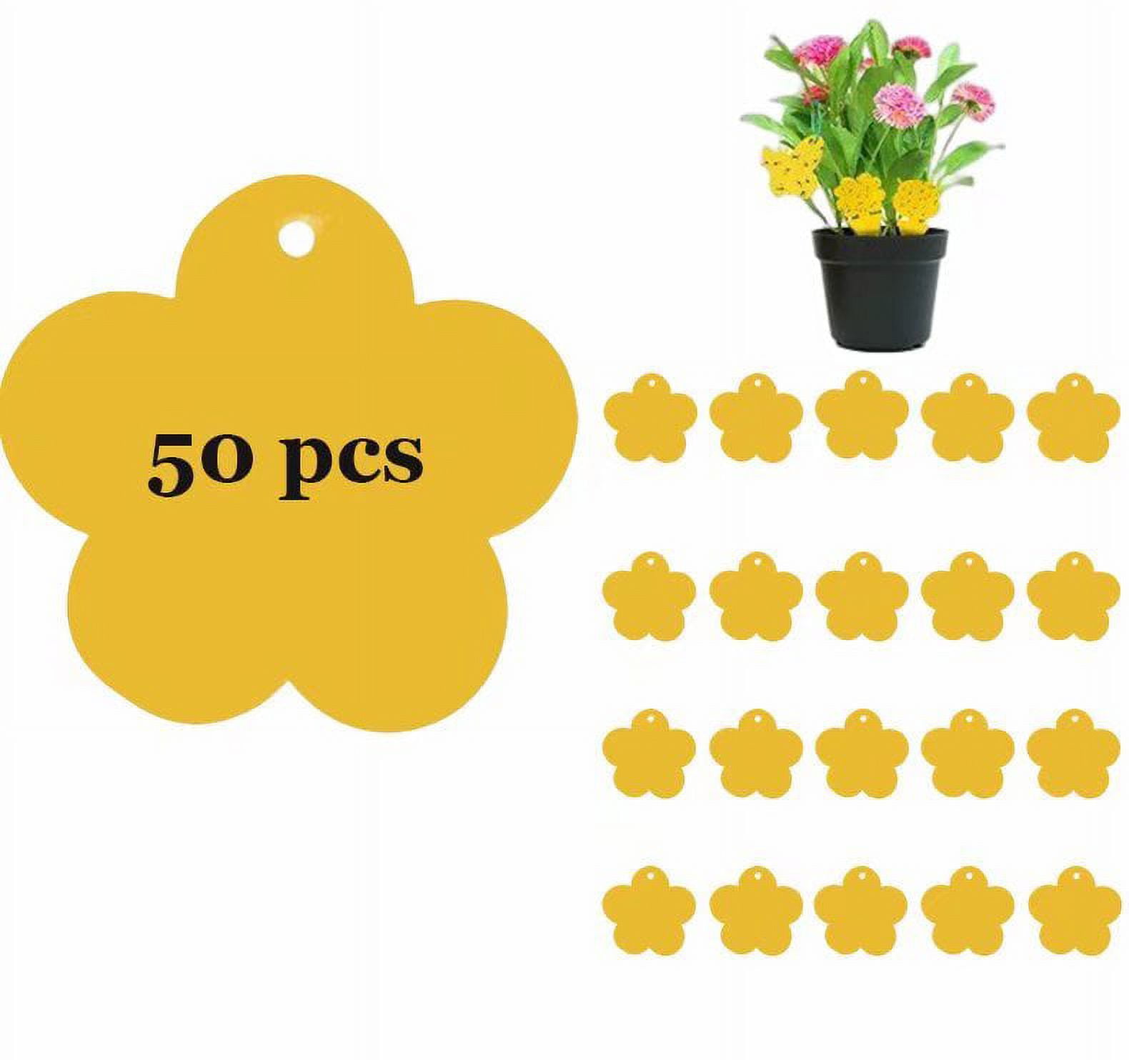 50 Pack Yellow Sticky Traps for Indoor Outdoor House Plant Flying ...