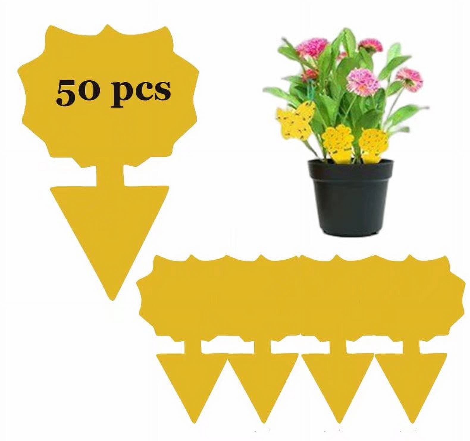 50 Pack Yellow Sticky Traps for Indoor Outdoor House Plant Flying ...