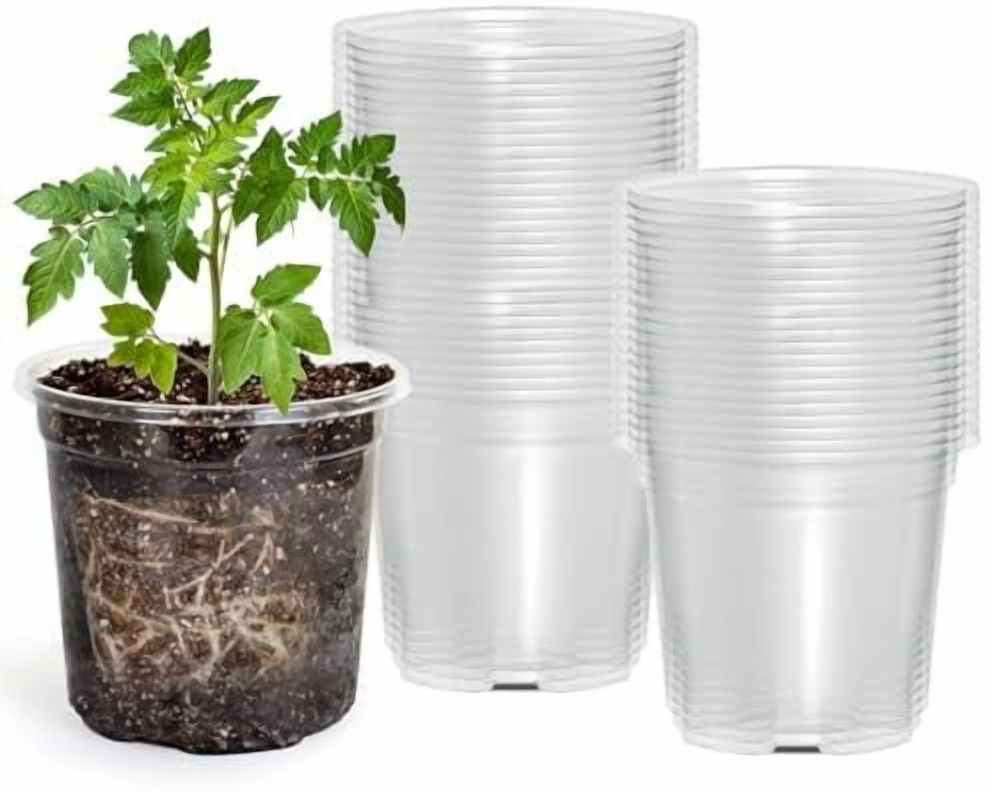 50 Packs 4 Inch Reinforced Clear Nursery Pots with Drainage Holes ...