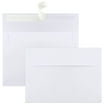 #5 1/2 Coin Envelopes (3 1/8 x 5 1/2) - Silver Metallic (50 Qty ...