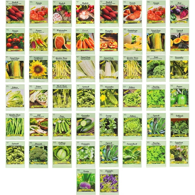 Organic Veg Garden: 50 Assorted Packs, Heirloom Vegetable Seeds, 30 ...