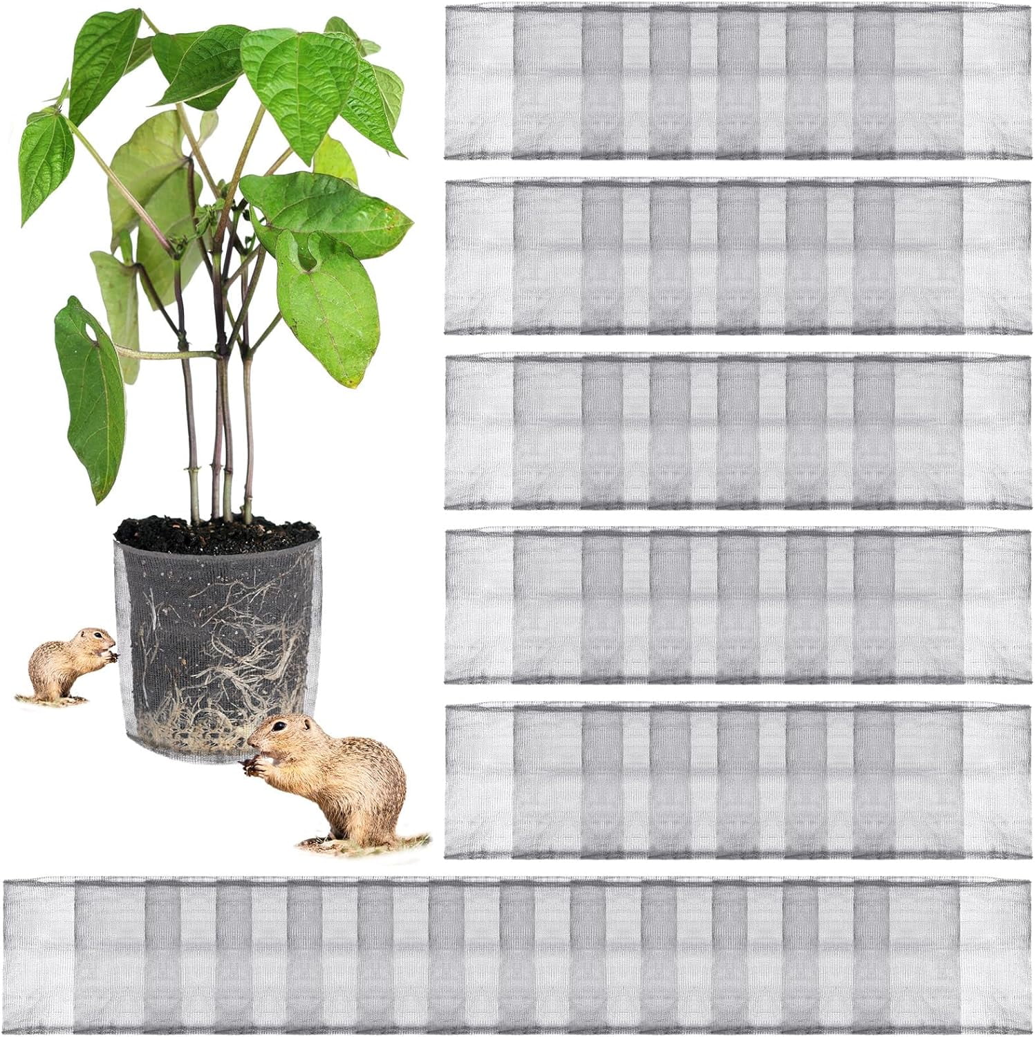 50 Pcs 1 Gallon Gopher and Vole Wire Mesh Basket Bulk Stainless Steel ...