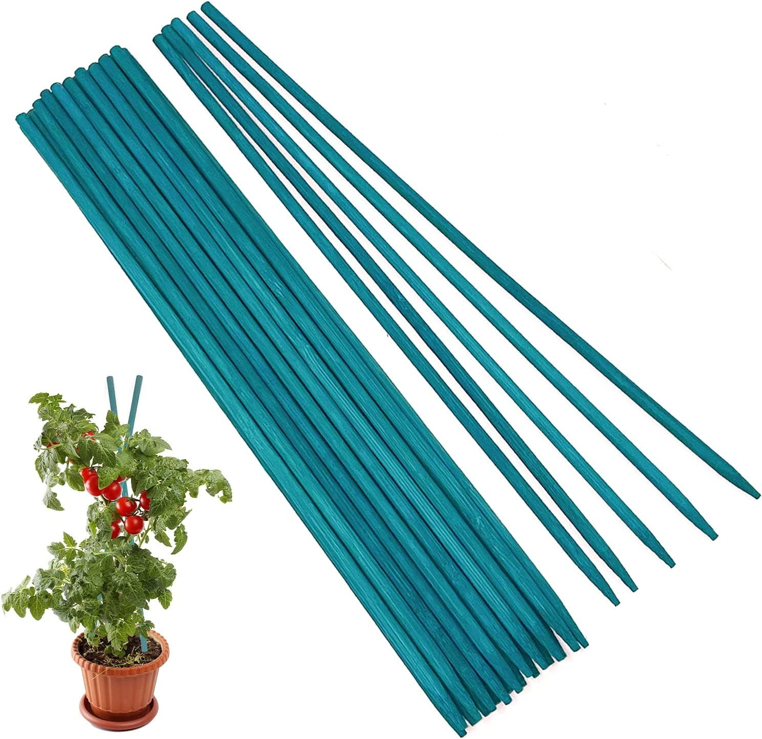 50 Pcs 15 inch Garden Stakes Green Bamboo Sticks Decorative Garden Wood ...