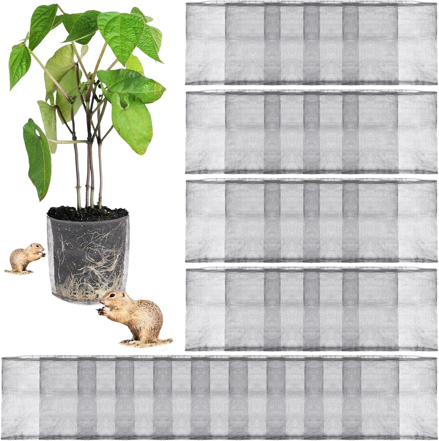 50 Pcs 5 Gallon Gopher and Vole Wire Mesh Basket Bulk Stainless Steel ...