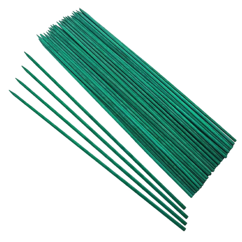 50 Pcs Bamboo Support Rod Poles Outdoor Plant Plants Indoor Green ...