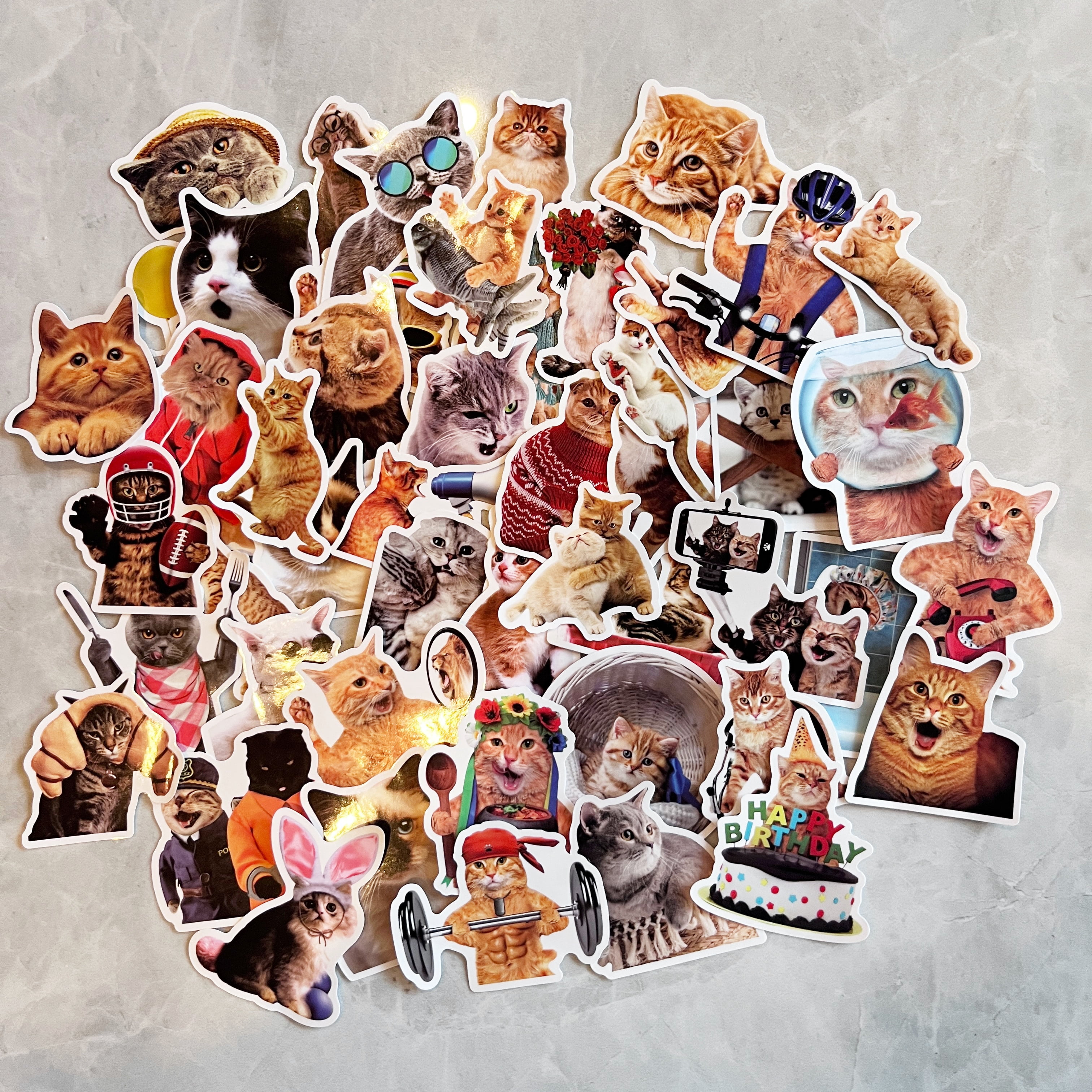 50 Pcs Cute Cartoon cat Stickers for Kids,Animal Lovers, Aesthetic ...