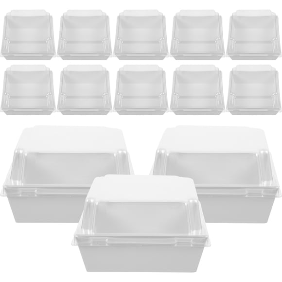Disposable Food Boxes