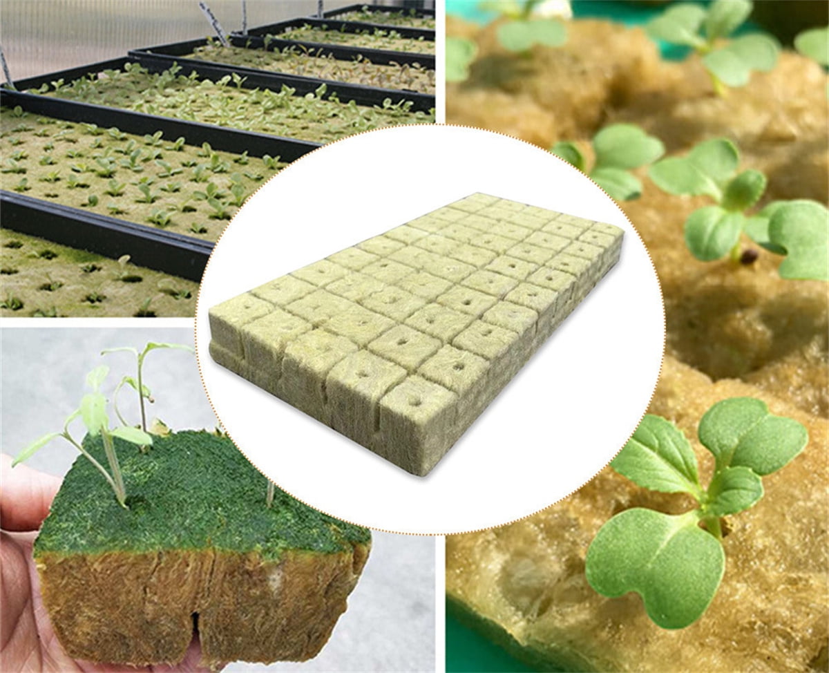 50 Pcs Fruit and Vegetable Seed Sowing Substrate,Hydroponic Seedling ...