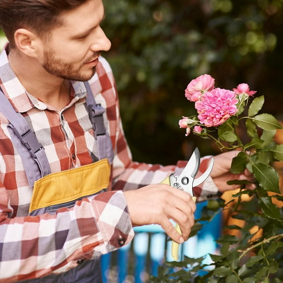 50 Pcs Garden Shears Garden Scissors Trimming Plant Clippers Flower ...