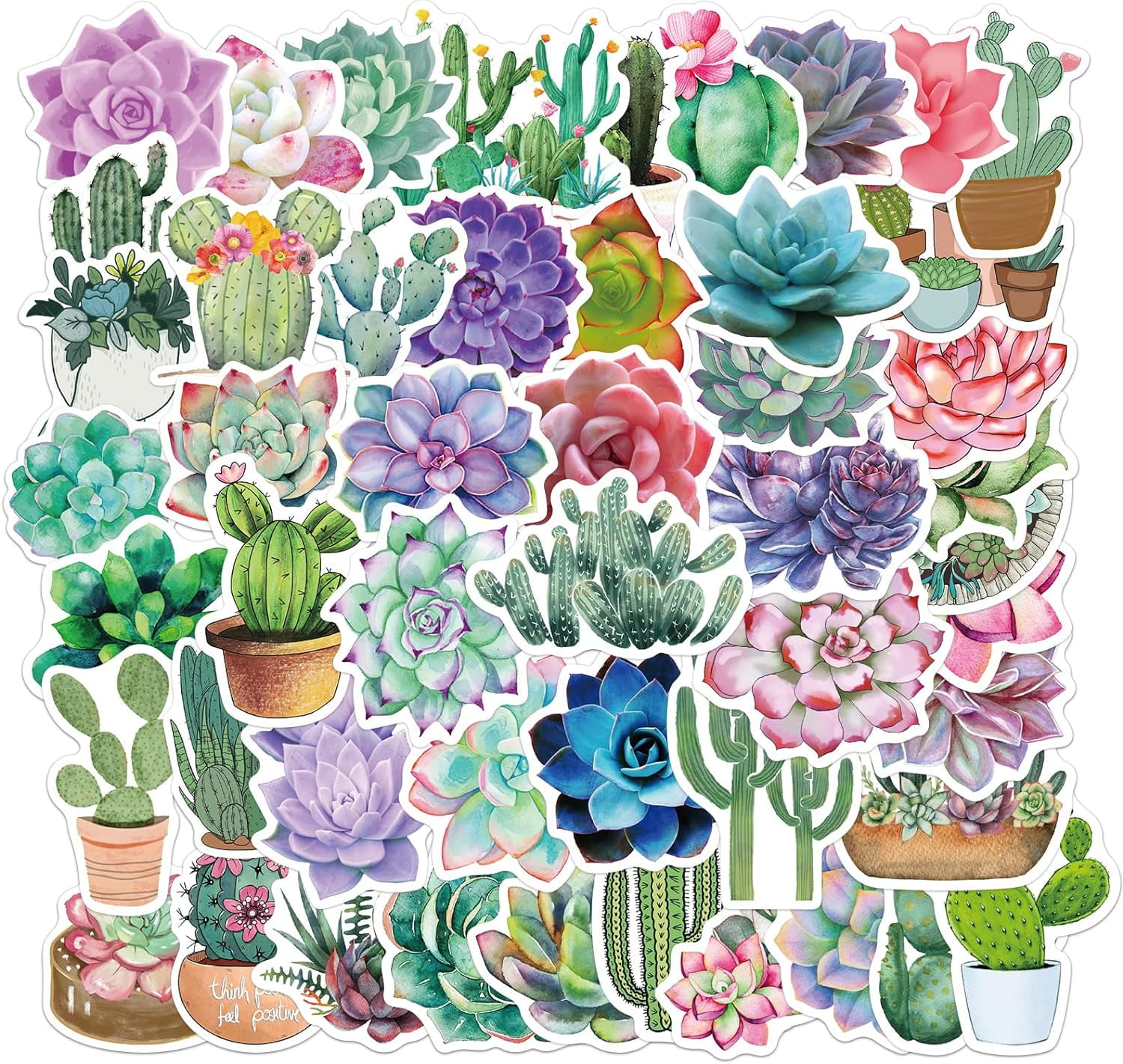 50 Pcs Greeen Plant Succulent Stickers|Succulent Cactus Plants ...