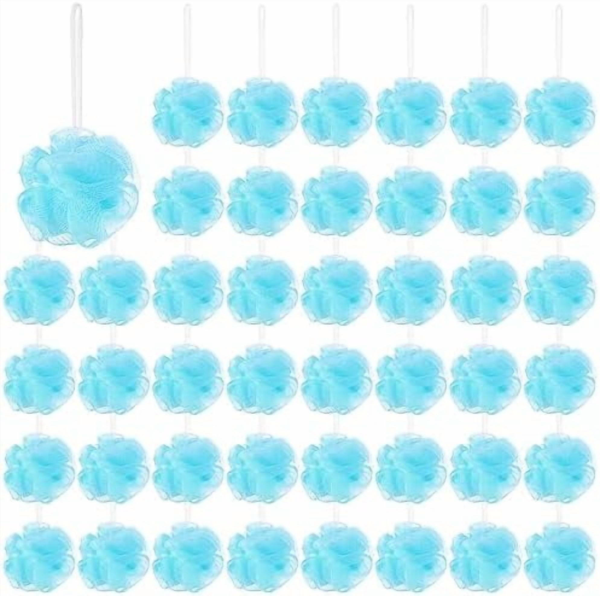 50 Pcs Loofah Sponge Bulk Mini Shower Sponge 3 Inch Loofahs Shower Pouf ...