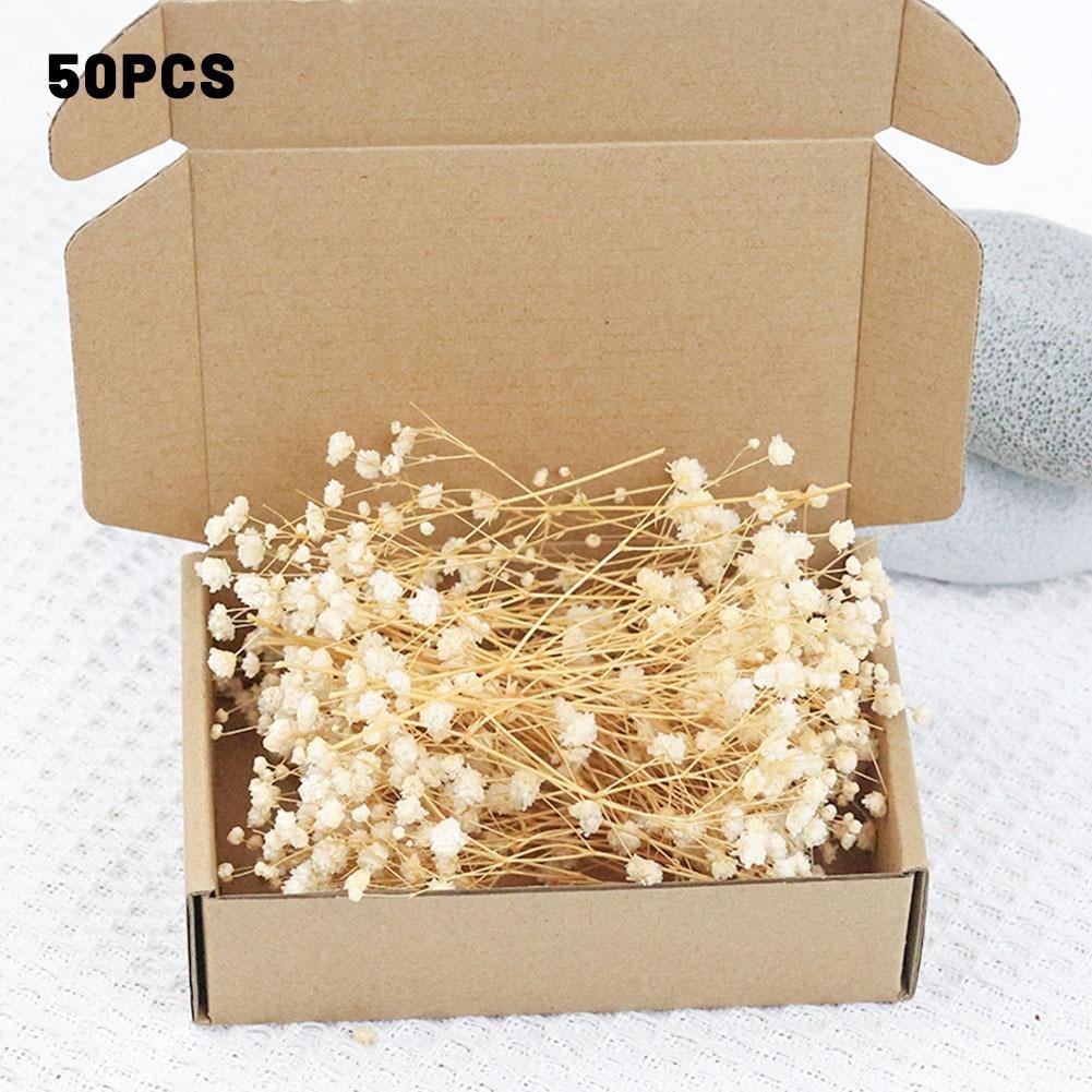 50 Pcs Mini Dried Baby Breath Flowers, Ivory Natural Gypsophila for ...