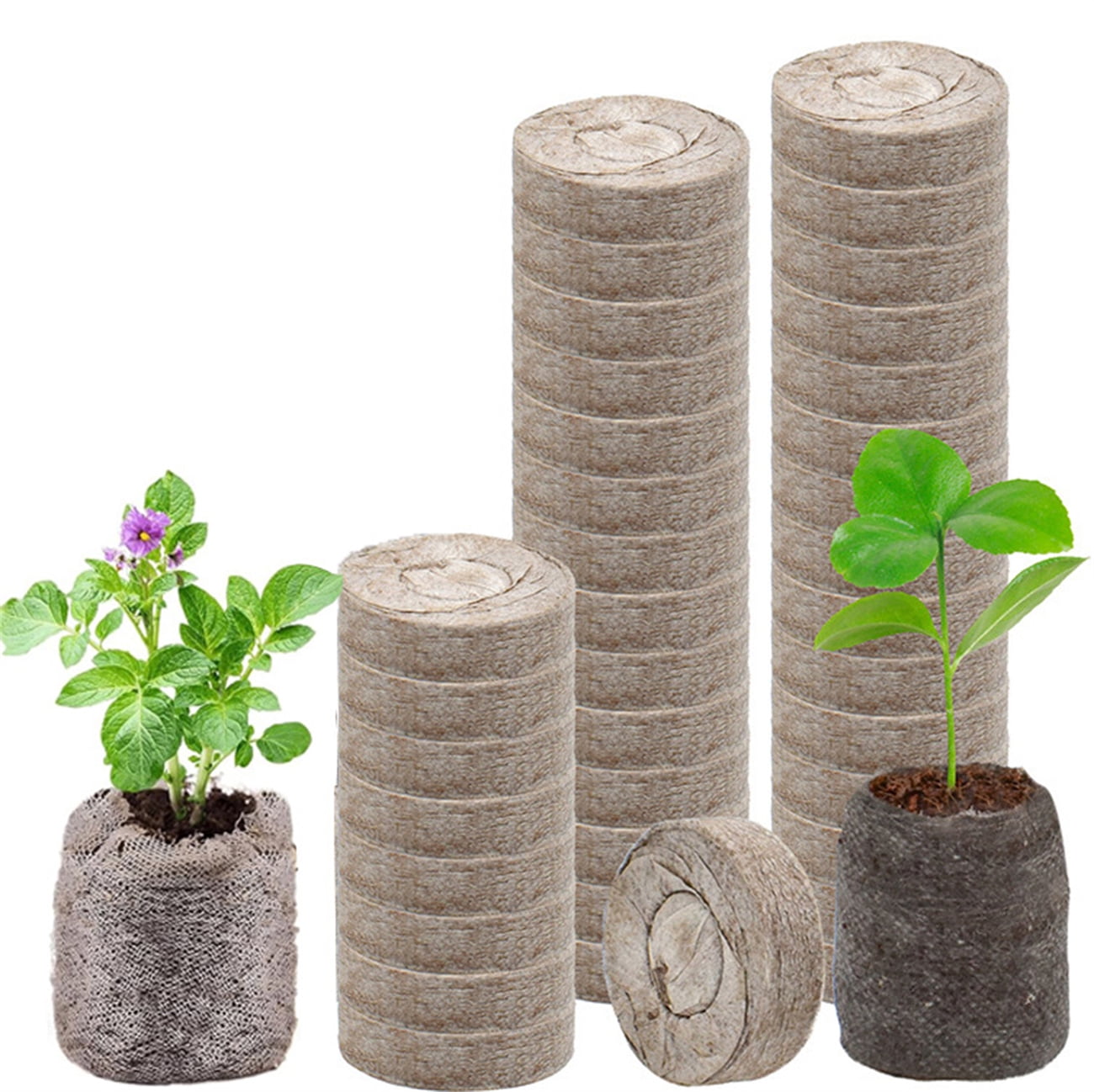 50 Pcs Peat Pellets for Seedlings,Bexikou 3 cm Compressed Seed Starting ...