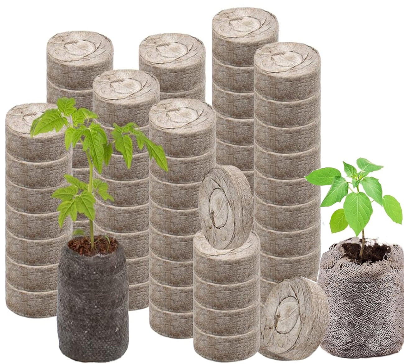 50 Pcs Plant Nursery Soil-Bexikou 35mm Plant Pallet Seedling Soil Block ...