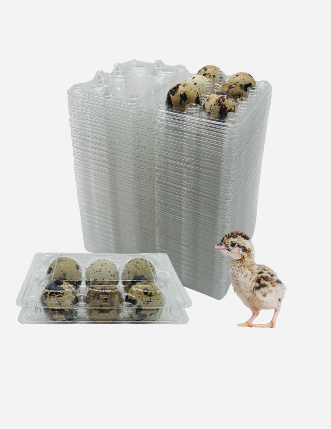 50 Pcs Quail Egg Cartons, 6 Grids Small Egg Storage Holders, Bulk ...