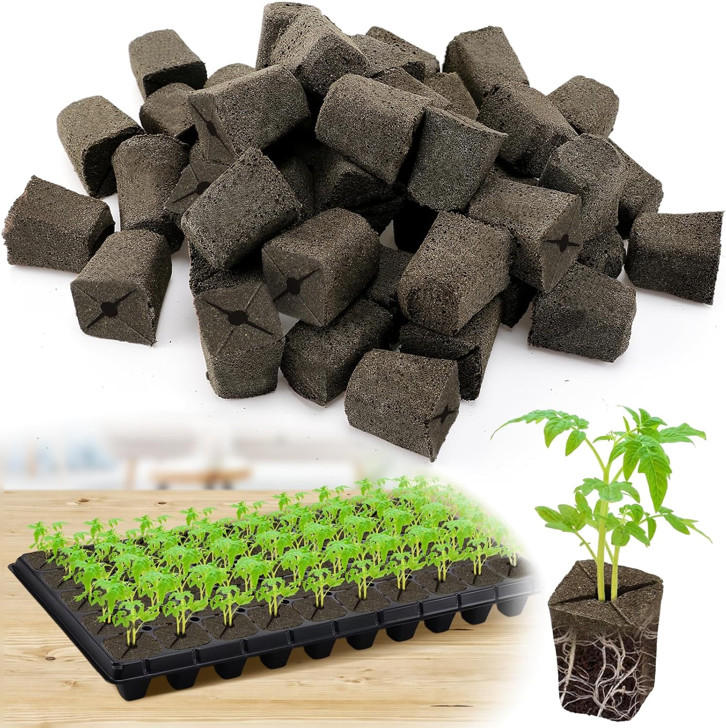 50 Pcs Seed Starter Sponges Pods, Rapid Peat Moss Rooter Plugs ...